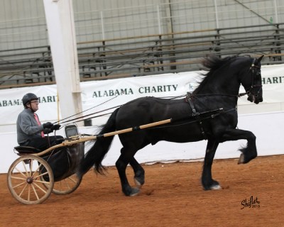 Show Photos by Shiflet – Virtual Brush Box