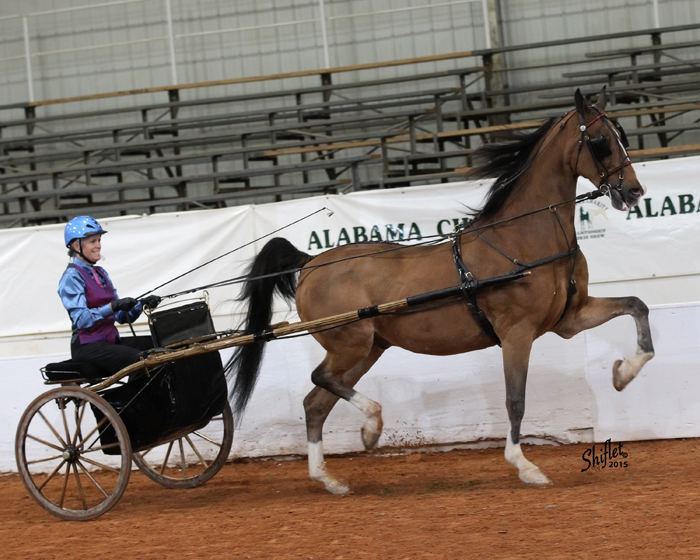 Show Photos by Shiflet – Virtual Brush Box