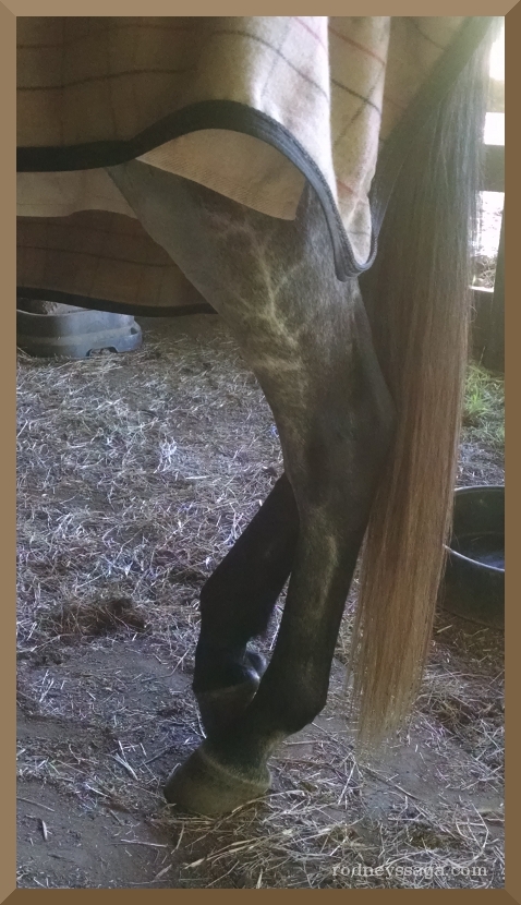 Melting Milton – Virtual Brush Box