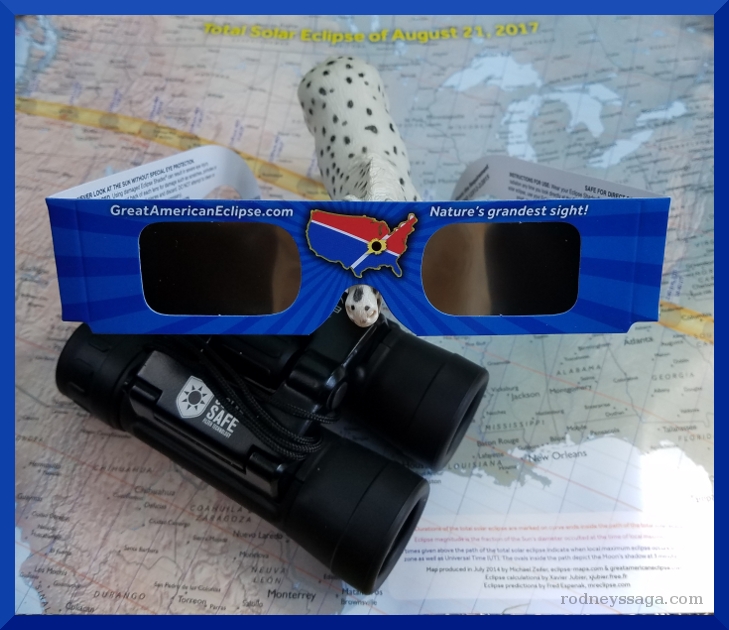 Spotted Practicing Eclipse Safety – Virtual Brush Box