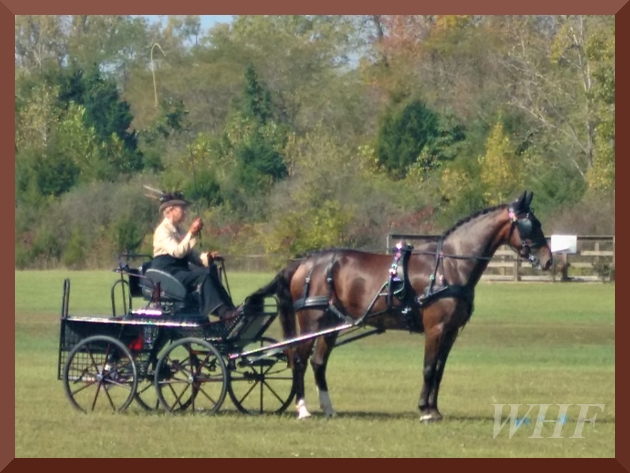 Show Report: Indiana CDE 2017 – Virtual Brush Box