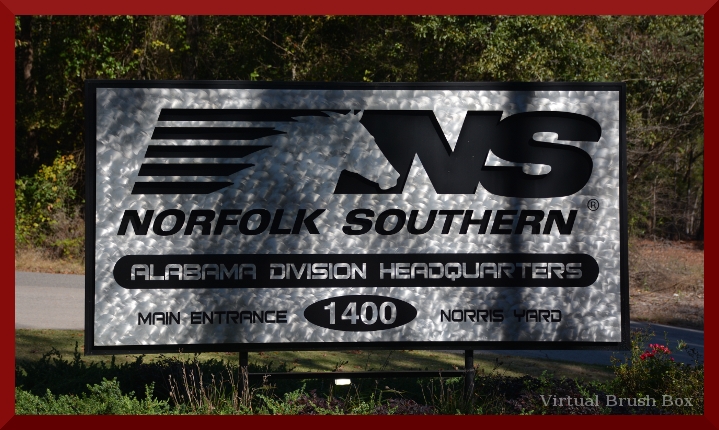Equine Logo: Norfolk Southern – Virtual Brush Box