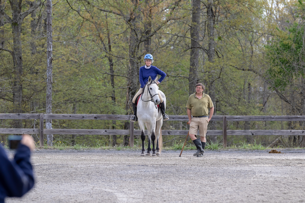 Milton Is Chill, Show Photos, SJ Equestrian, March 2019 – Virtual Brush Box