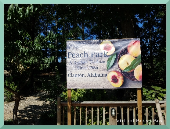 Redneck Summer Party, Between The Ears At Peach Park – Virtual Brush Box
