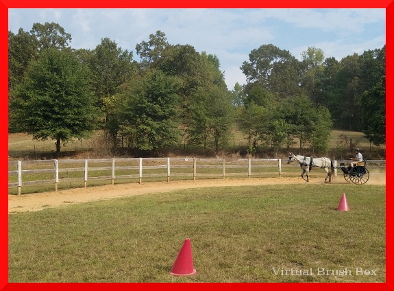 Back In Harness – Virtual Brush Box