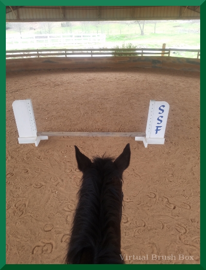 Rodney’s Jumping History, A Short List – Virtual Brush Box