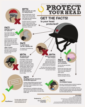 Get A Free Helmet Poster – Virtual Brush Box