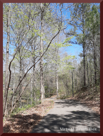 Pondering The Perfect Park, Walk Report, Chelsea Rec – Virtual Brush Box
