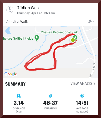 Pondering The Perfect Park, Walk Report, Chelsea Rec – Virtual Brush Box
