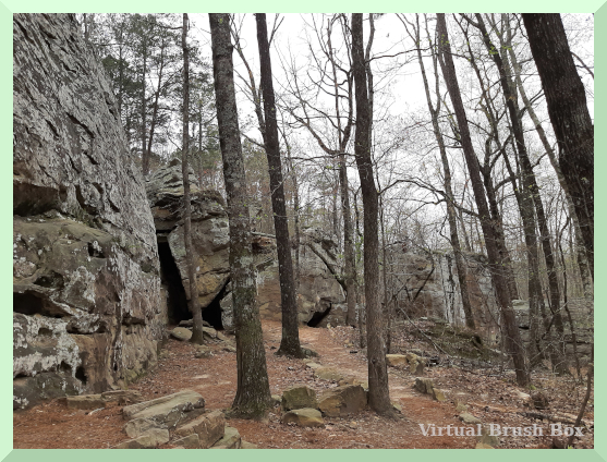 Lots of Little Walks, Moss Rock, Cahaba Greenway, Coker Park – Virtual ...