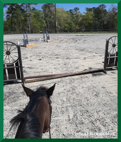 Rodney’s Recent Jumps – Virtual Brush Box