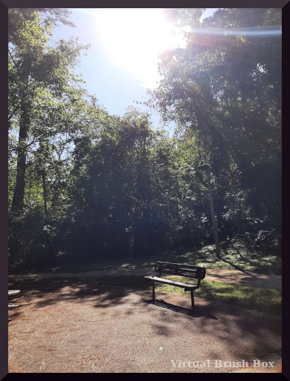 The Bench, First Draft, Fiction – Virtual Brush Box