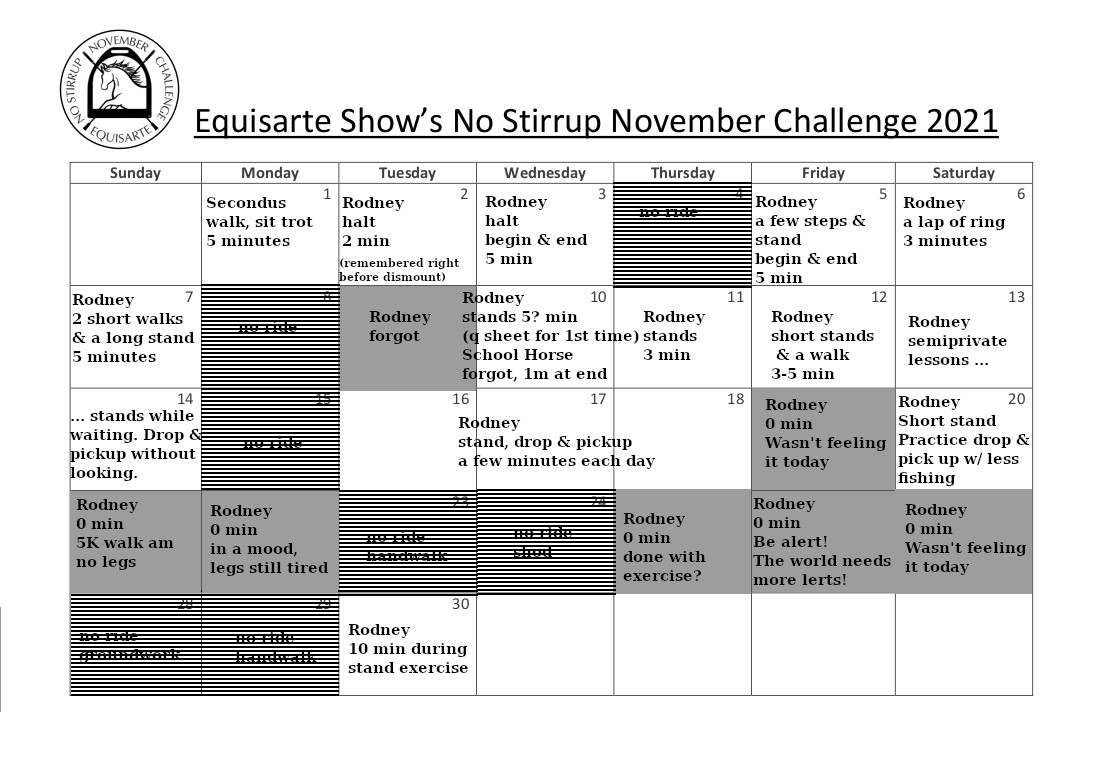 Lessons from No Stirrup November – Virtual Brush Box