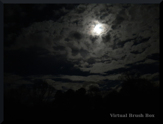 Moseying Around The Pasture In The Moonlight, Walk Report, Polar Night ...
