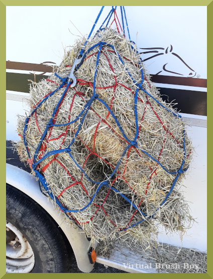 Horse Opinions on Hay Net Enrichment and Other Activities – Virtual ...