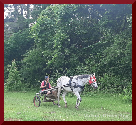 Scenic Horses – Virtual Brush Box
