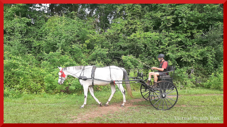 Milton Now Has A Choice of Vehicles – Virtual Brush Box