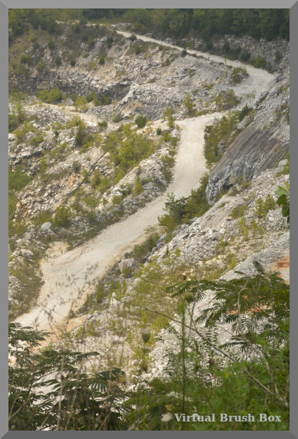 Quarry, Photography – Virtual Brush Box