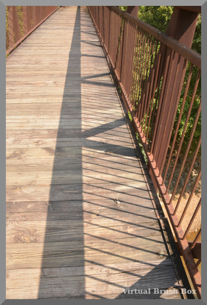 Pedestrian Bridge, Photography – Virtual Brush Box