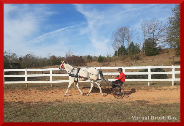 Milton at Work – Virtual Brush Box