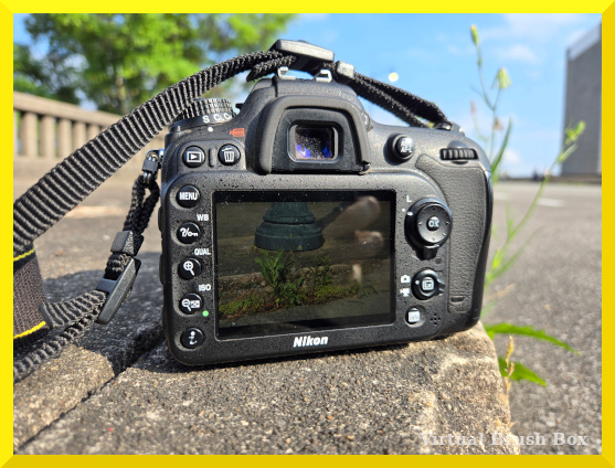 Road Closed, Photography – Virtual Brush Box