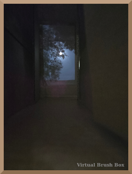 Weird Photo Moment, Pinhole Photography – Virtual Brush Box