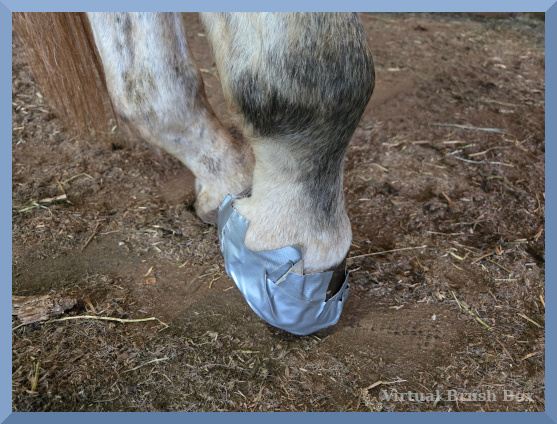 Milton’s Silver Slipper, Sigh – Virtual Brush Box