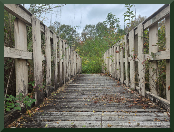 A Bridge To The Past, Photography – Virtual Brush Box