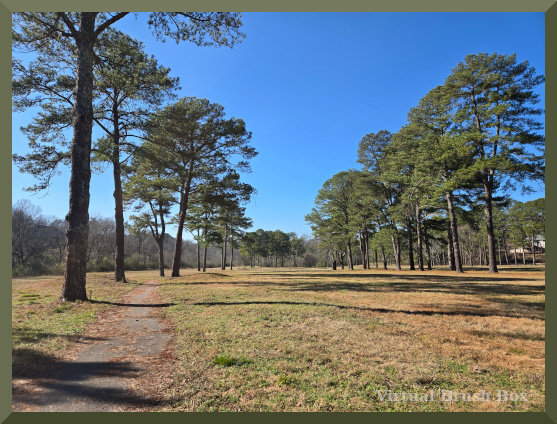 Last Walk of 2024, In Which I Encounter A Social Trend, A Fitness Post ...