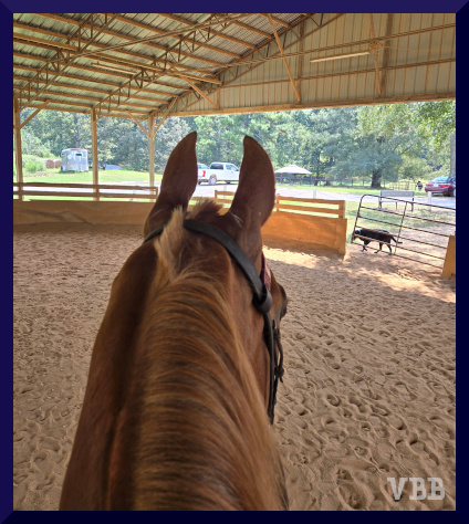 The Unending Conversation – Virtual Brush Box