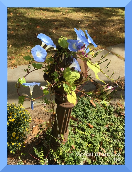 hitching post summer redo – Virtual Brush Box